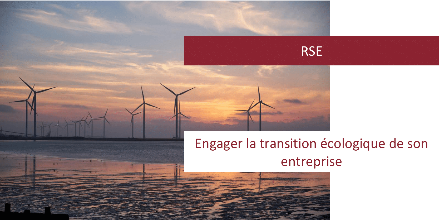 RSE : engager la transition écologique de son entreprise – ABV Group